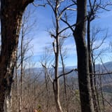 Duncan Ridge Trail, Georgia - 71 Reviews, Map | AllTrails