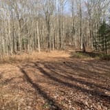 Duncan Ridge Trail, Georgia - 71 Reviews, Map | AllTrails