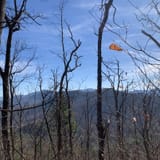 Duncan Ridge Trail, Georgia - 71 Reviews, Map | AllTrails