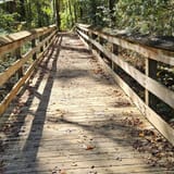 Cape Fear River Trail, North Carolina - 1,140 Reviews, Map | AllTrails
