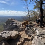 Kings Chair Loop, Alabama - 2,407 Reviews, Map | AllTrails