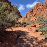 Guardian Angel Pass, Nevada - 1,944 Reviews, Map | AllTrails