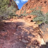 Guardian Angel Pass, Nevada - 1,944 Reviews, Map | AllTrails