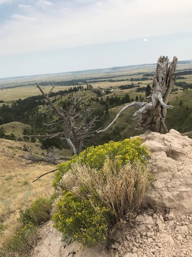 Best 10 Trails in Fort Robinson State Park | AllTrails