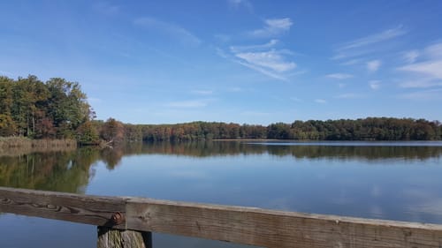 Die 10 besten Routen in Lums Pond State Park | AllTrails