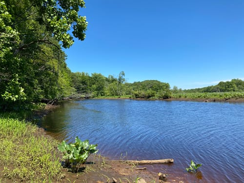 Best 10 Trails in Green Brook Park | AllTrails