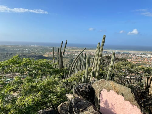Best 10 Trail Running Trails in Aruba | AllTrails
