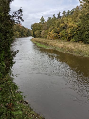 Die 10 besten Routen in Wainfleet Bog Conservation Area | AllTrails