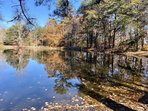 Best 10 Trails in Little Ridge Park | AllTrails