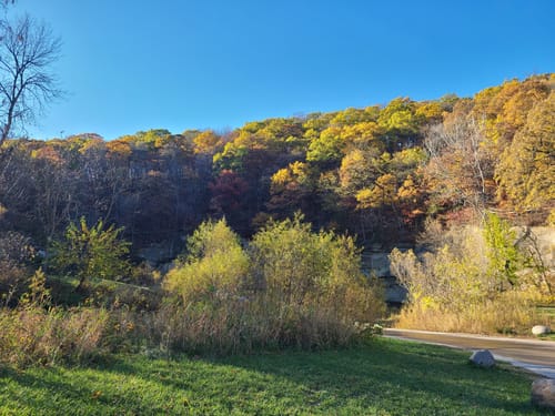 Best 10 Trails in Margo Frankel Woods State Park | AllTrails