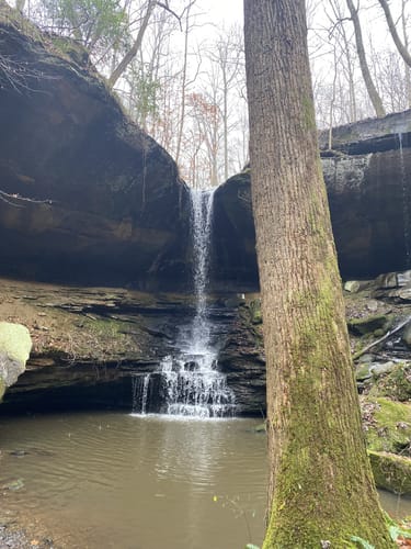 Best 10 Trails in Brahan Spring Park | AllTrails