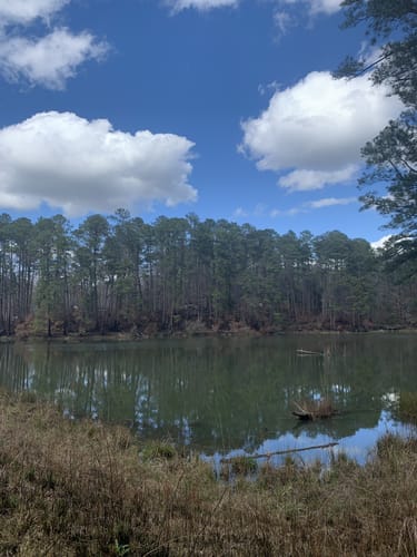 Best 10 Forest Trails in Mississippi | AllTrails