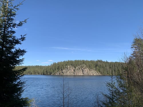 Ånnaboda naturreservat: as 10 melhores trilhas | AllTrails