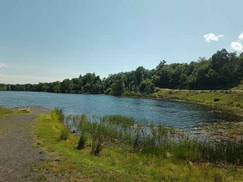 Best 10 Trails in Green Brook Park | AllTrails