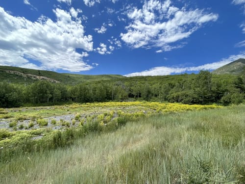 Best 10 Trails in Smooth Canyon Park | AllTrails